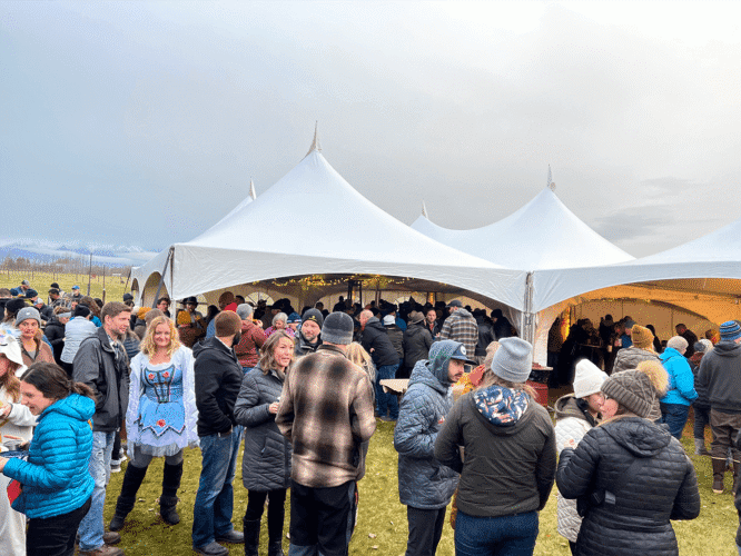 Exploring Seasonal Events & Festivals in Palmer, Alaska